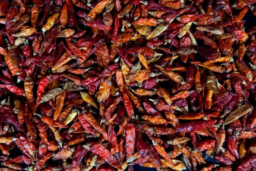 All About The Thai Bird's Eye Chili - Because Food Is Life